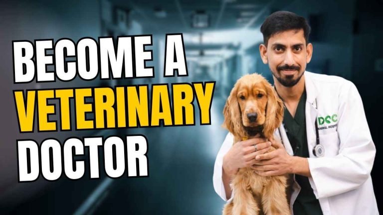 How to Become a Veterinary Doctor in India (2025)